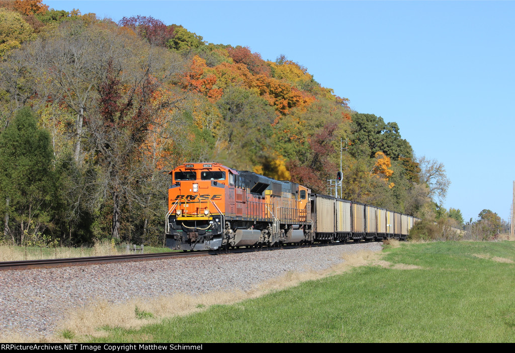 Matching The Fall Colors